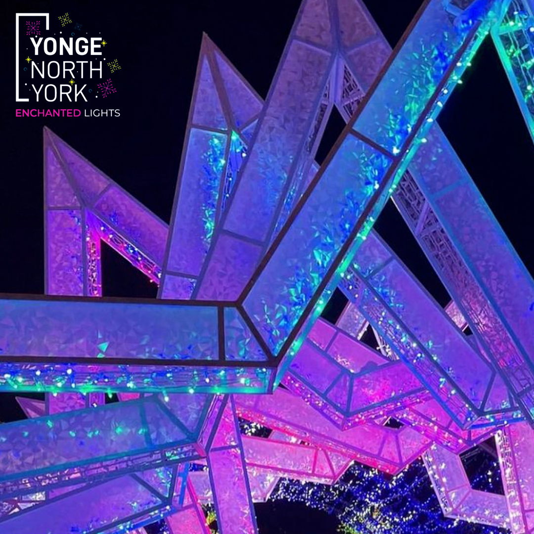 Enchanted Lights | Yonge North York